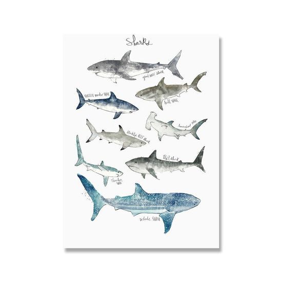 Shark Types Wildlife Poster – Aesthetic Wall Decor
