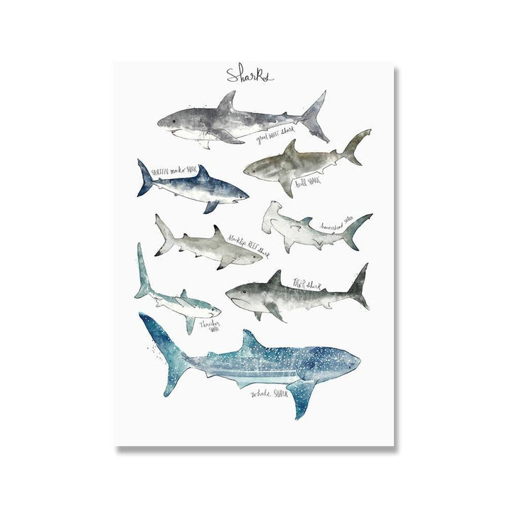 Shark Types Wildlife Poster – Aesthetic Wall Decor